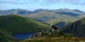 Cumbria way route - The Cumbria Way